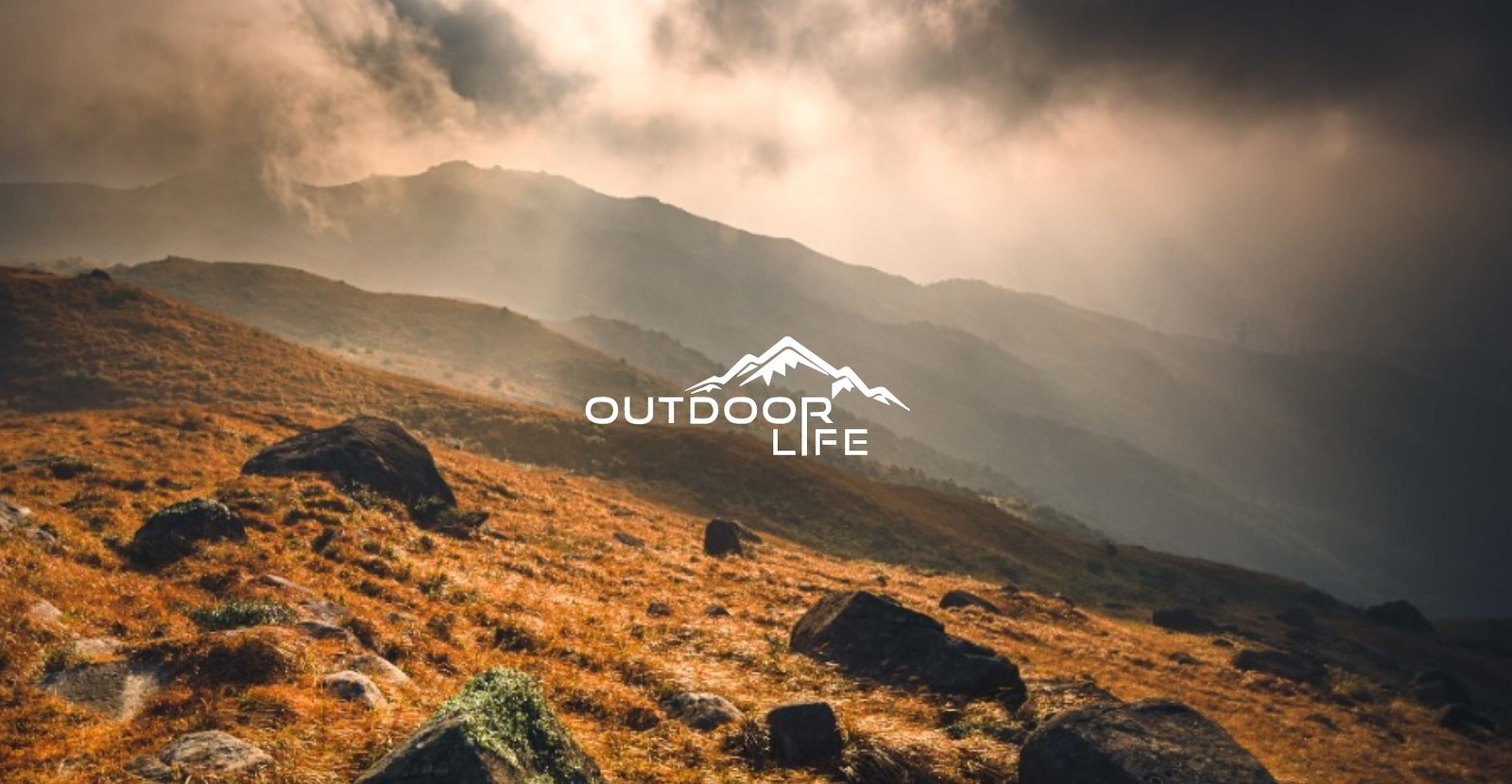 Outdoor Life Wallpaper